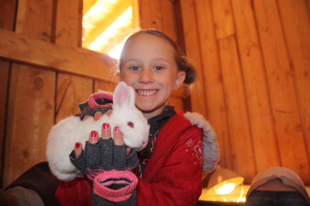 It’s time to see the babies (animal) at This is the Place | News ...
